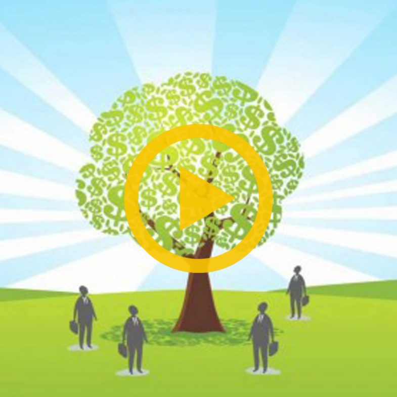 The Life of Neem Infographic