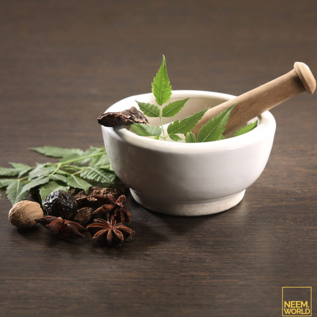 Ayurvedic Medicine and the Power of The Neem Tree